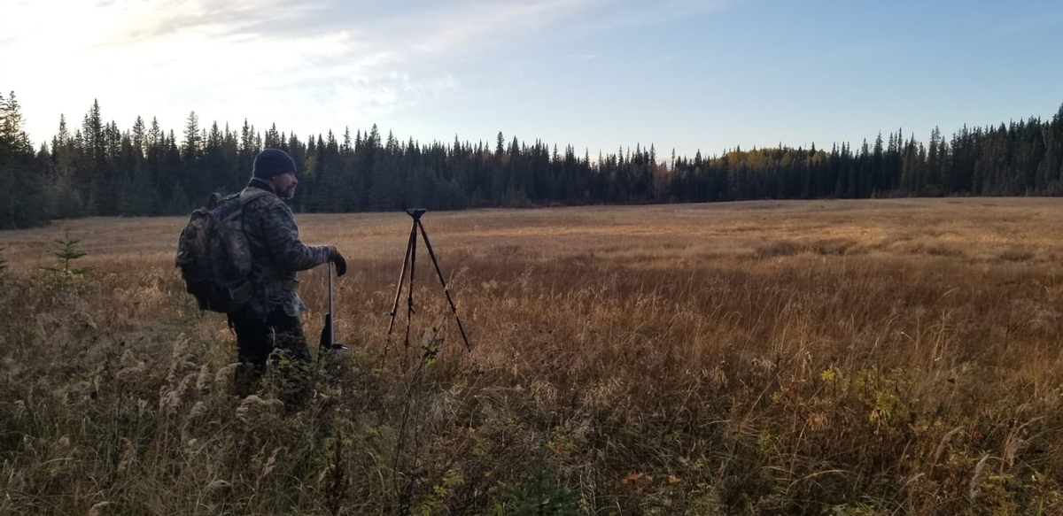 Alberta Moose Hunts | Guided Moose Hunts Canada