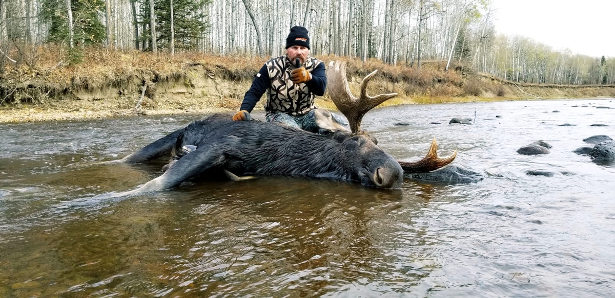 Alberta Moose Hunts | Guided Moose Hunts Canada