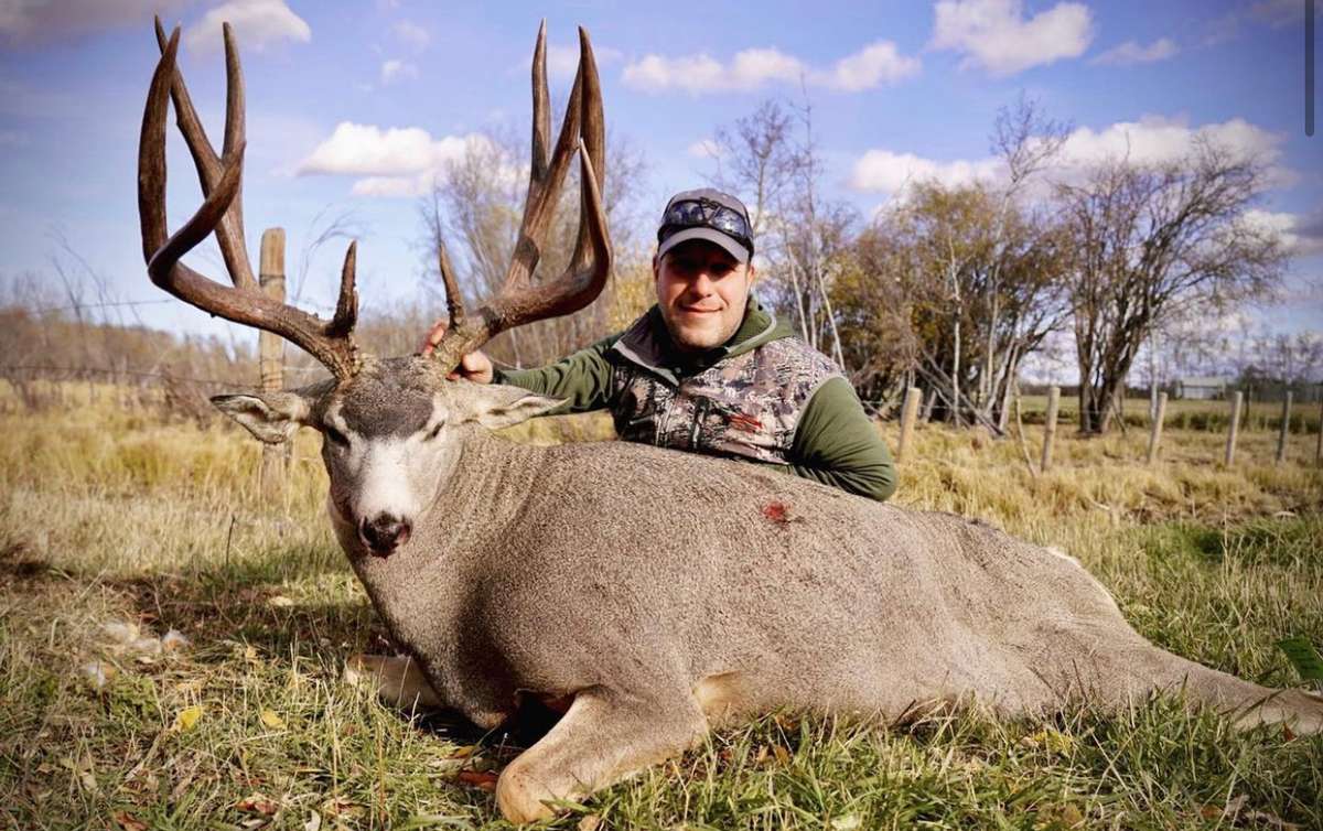 Mule Deer Hunts - Timber King Outfitting