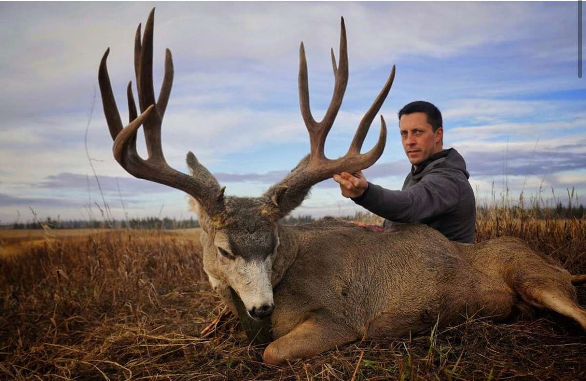 Mule Deer Hunts - Timber King Outfitting