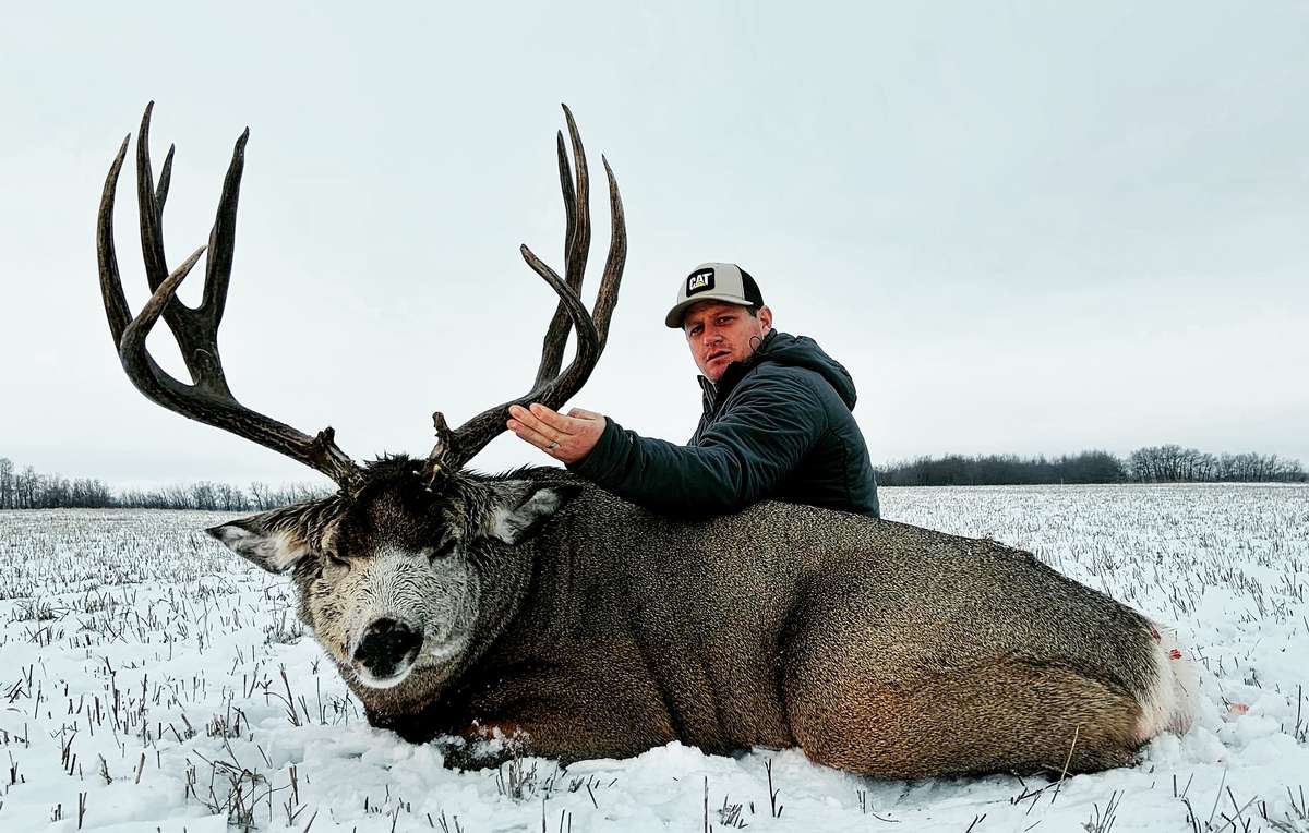 Mule Deer Hunting Tips Alberta at Hector Dwight blog