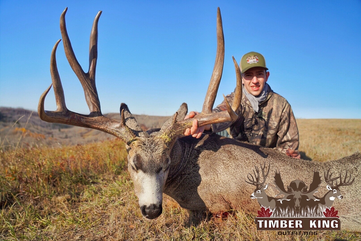 Mule Deer Hunts - Timber King Outfitting