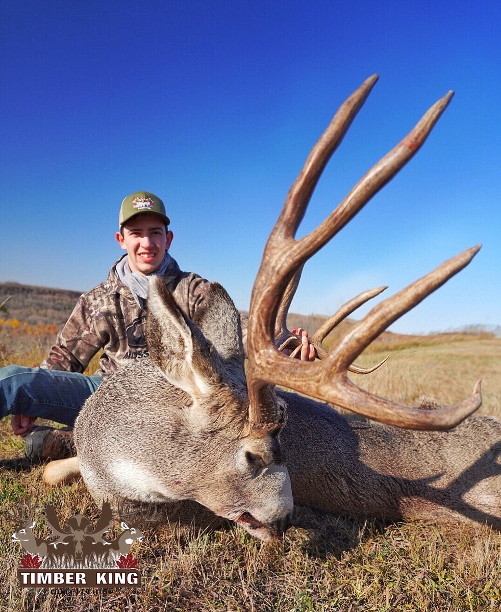 Mule Deer Hunts - Timber King Outfitting