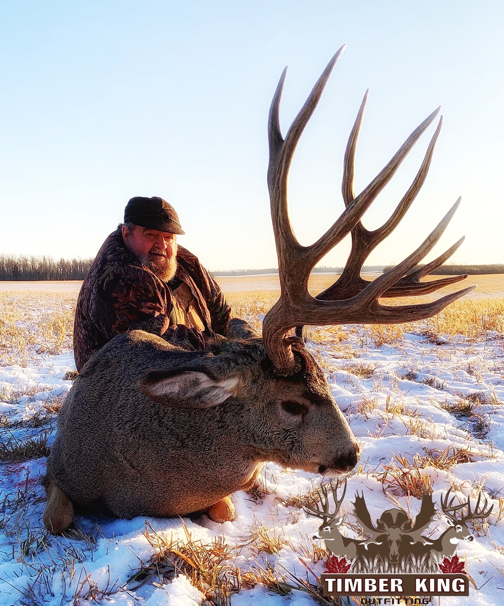 Page 2/3 - Timber King Outfitting Alberta Mule Deer Photo Gallery