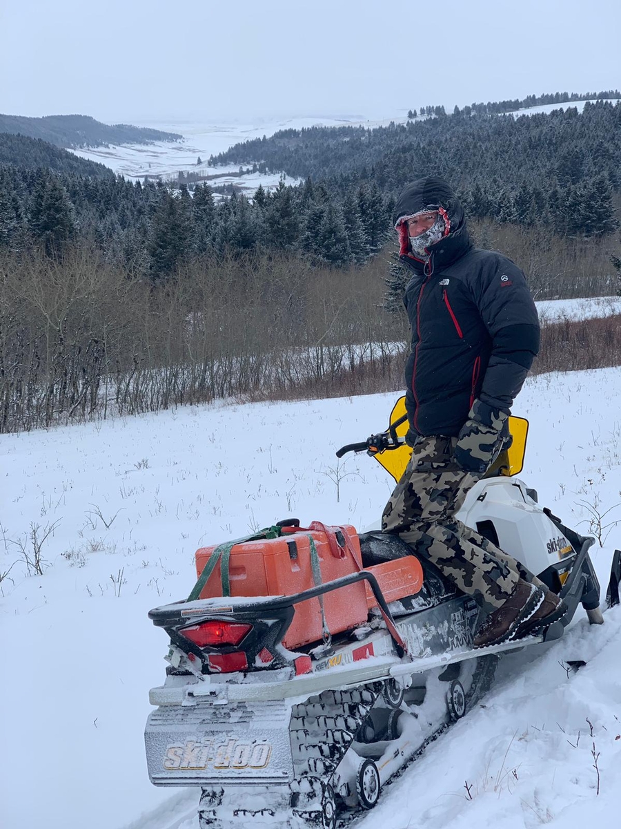 Alberta Mountain Lion Hunts - Timber King Outfitting