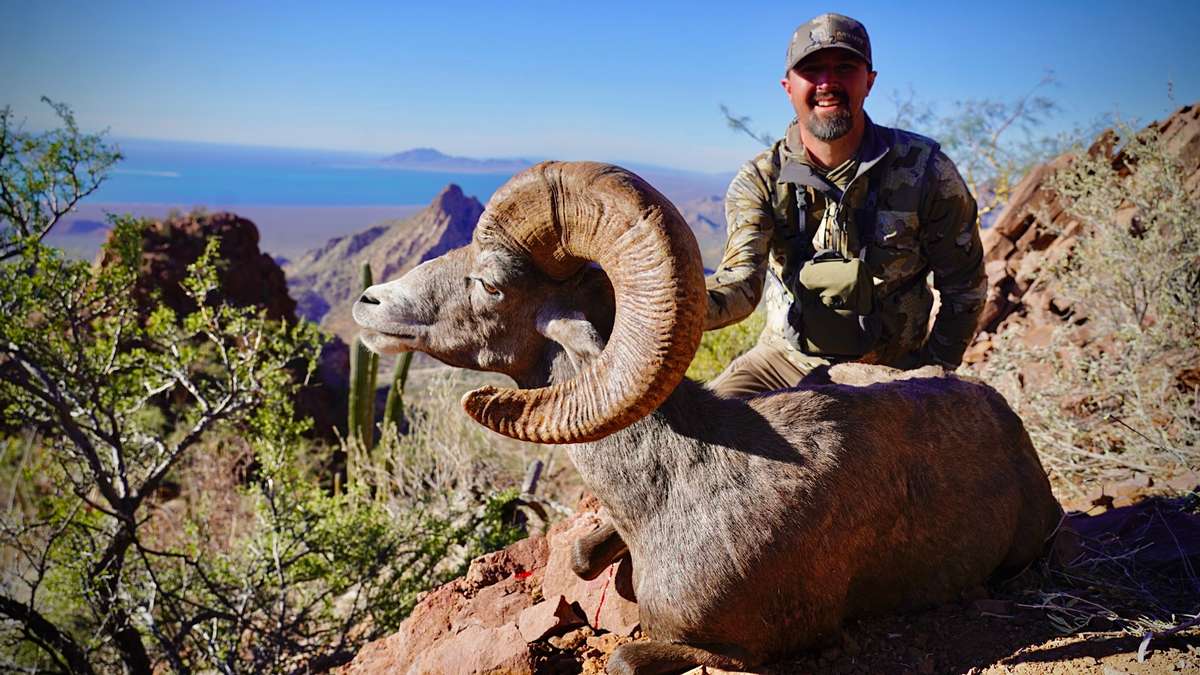 Desert Bighorn Sheep Hunts in Sonora, Mexico | Timber King Outfitting