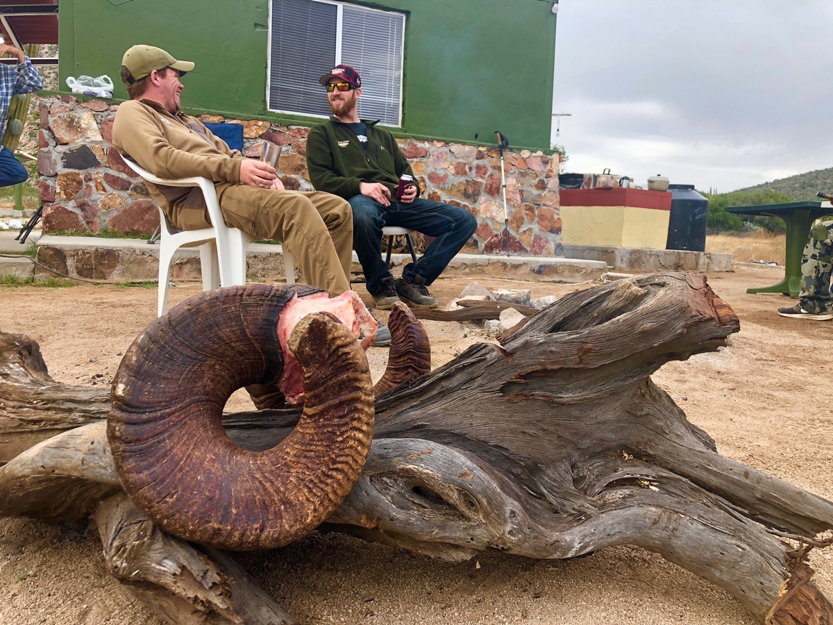 Desert Bighorn Sheep Hunts in Sonora, Mexico | Timber King Outfitting