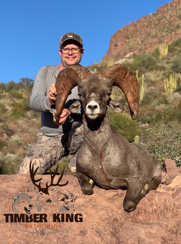 Desert Bighorn Sheep Hunts in Sonora, Mexico | Timber King Outfitting