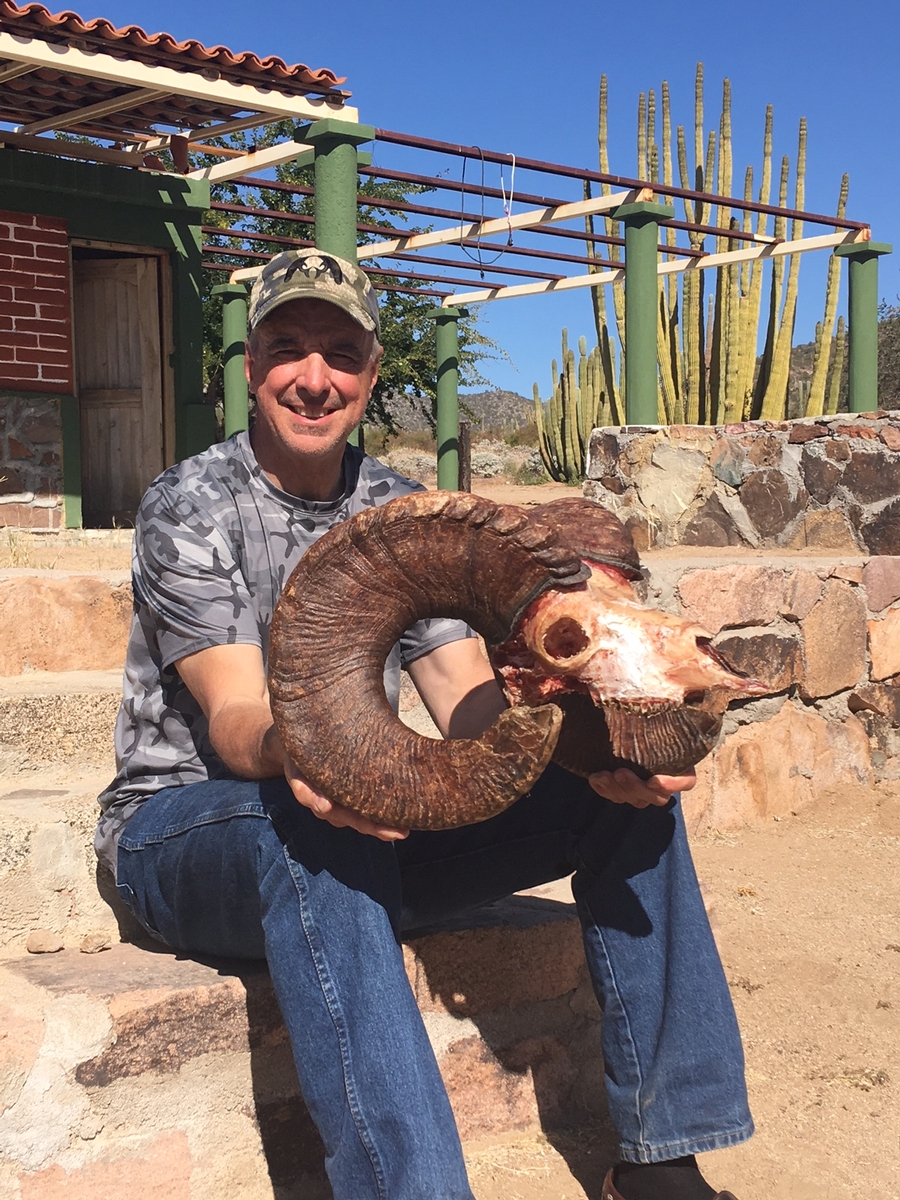 Desert Bighorn Sheep Hunts in Sonora, Mexico | Timber King Outfitting