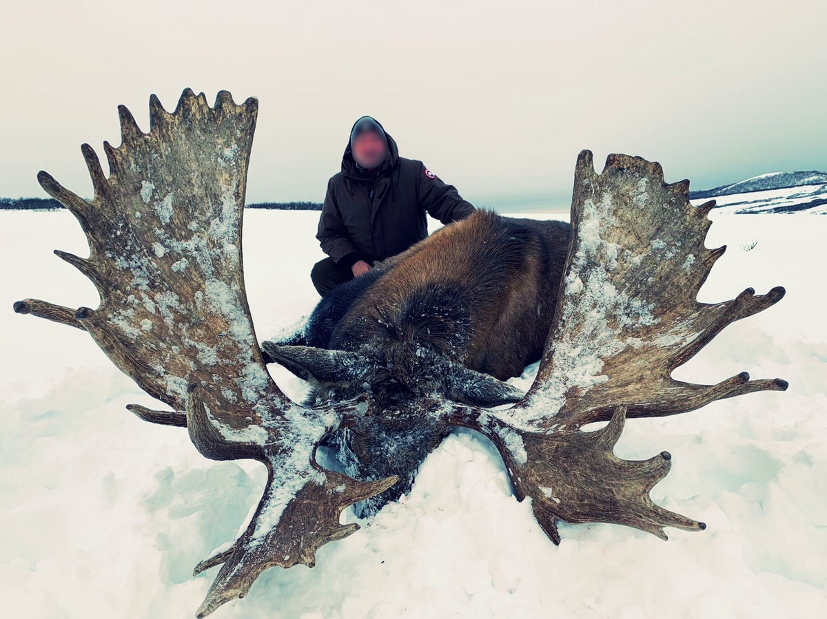 Hunting Moose in Kamchatka, Russia | Outfitted Moose Hunts