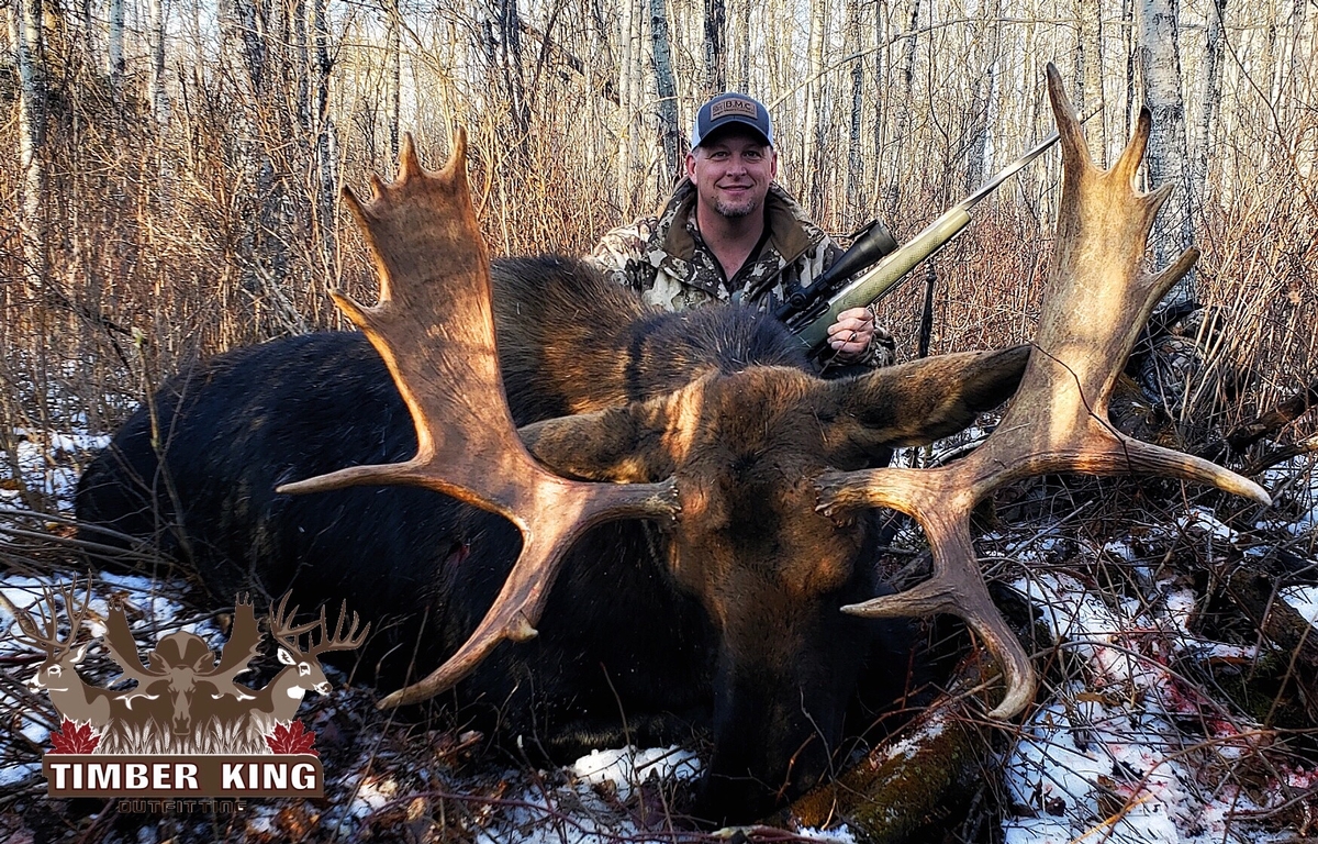 Alberta Moose Hunts | Guided Moose Hunts Canada