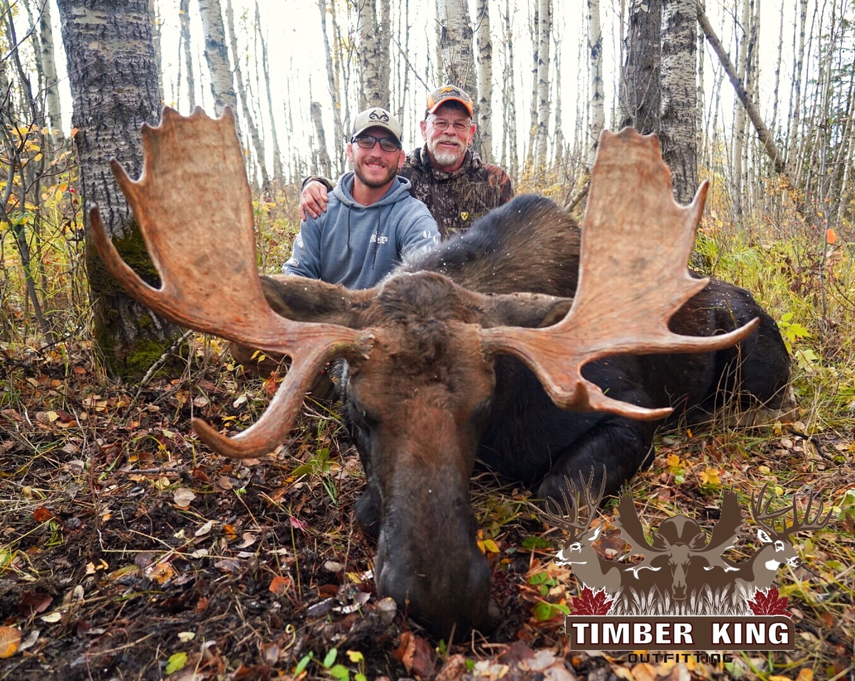 Alberta Moose Hunts | Guided Moose Hunts Canada