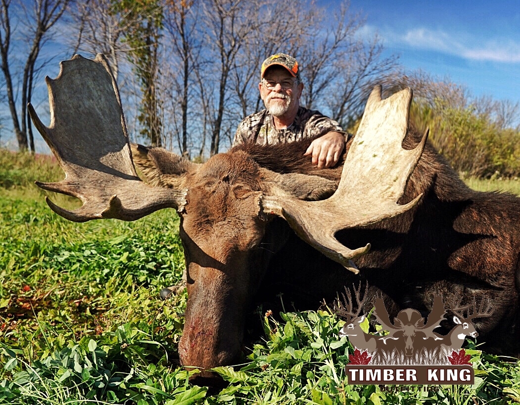Alberta Moose Hunts | Guided Moose Hunts Canada