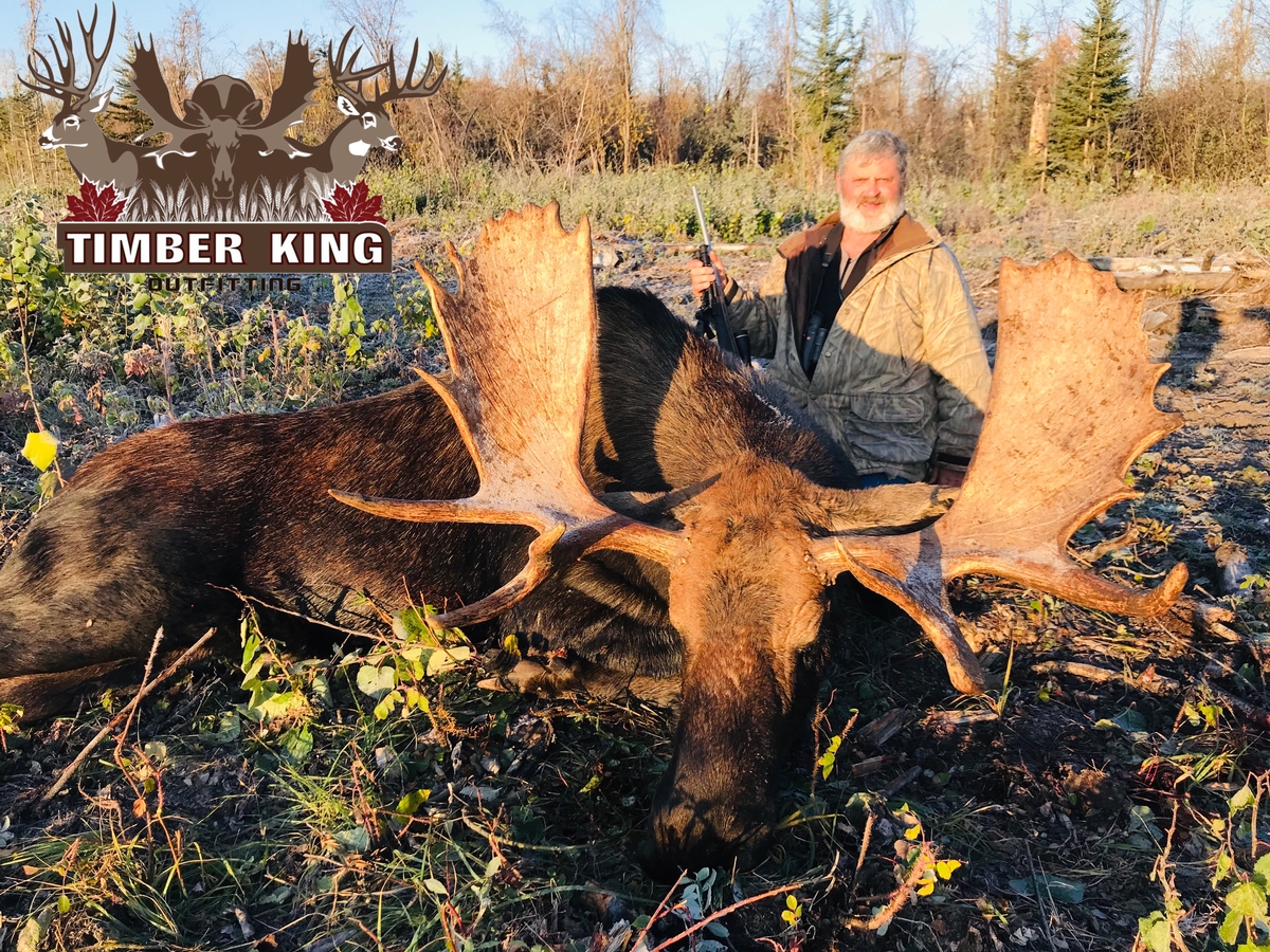 Alberta Moose Hunts | Guided Moose Hunts Canada