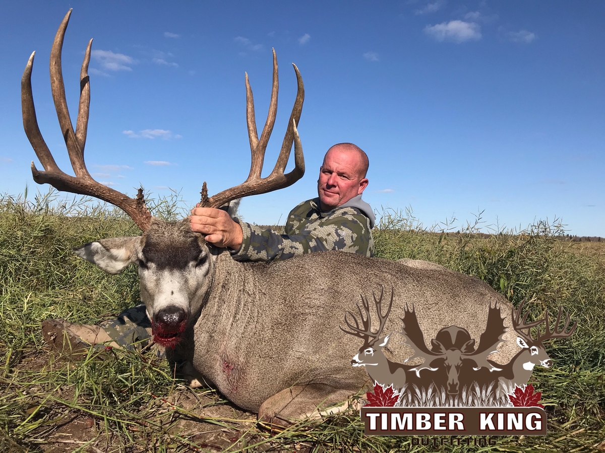 Page 2/3 - Timber King Outfitting Alberta Mule Deer Photo Gallery