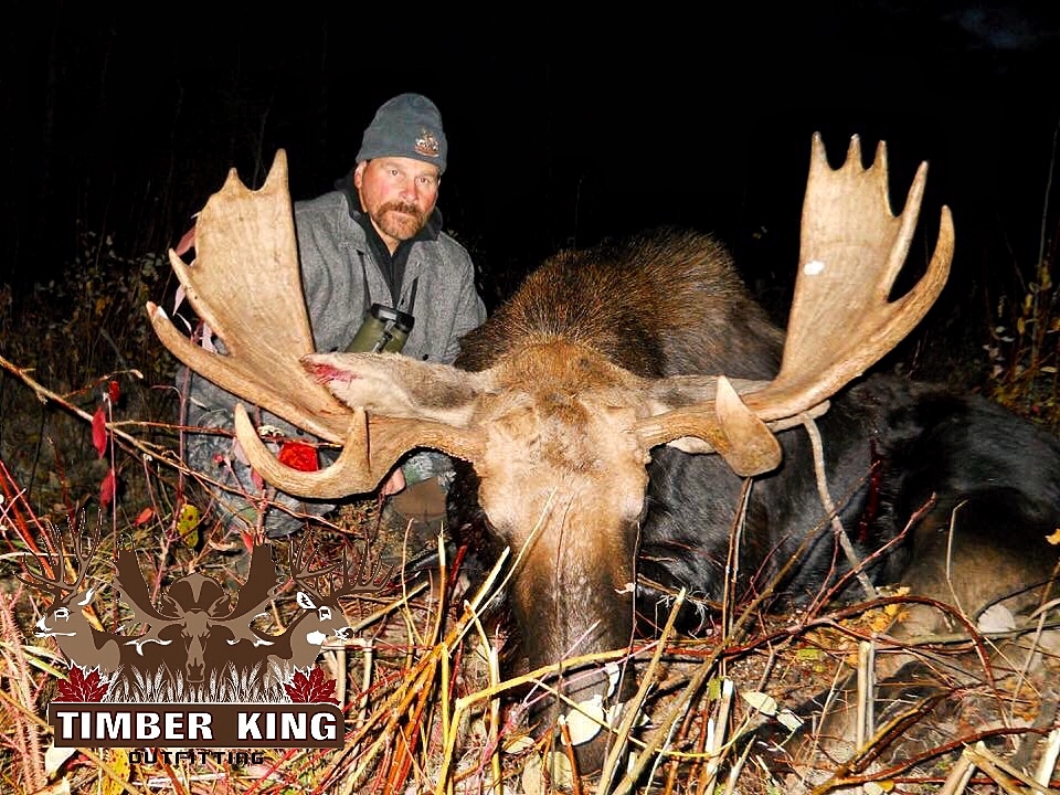 Alberta Moose Hunts | Guided Moose Hunts Canada