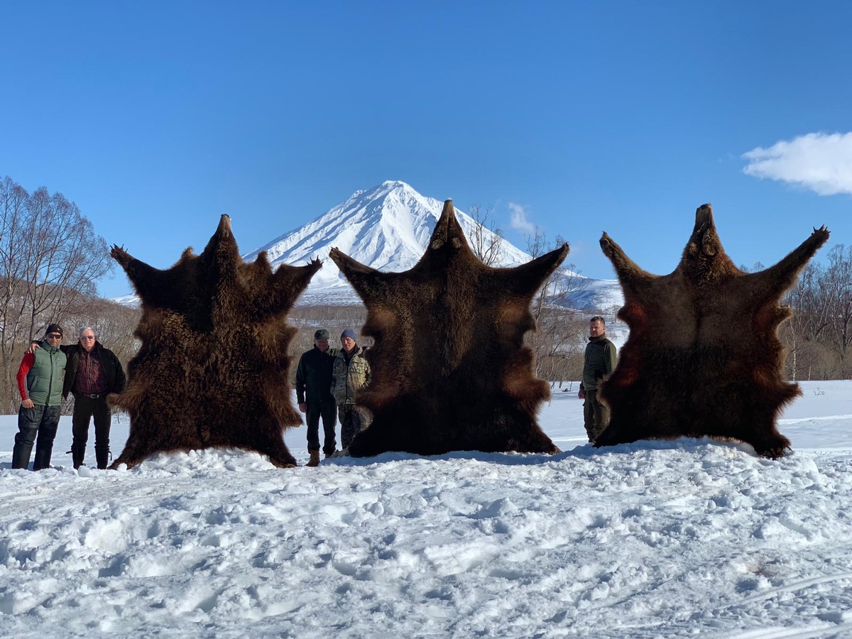 Bear Hunting Outfitter in Russia | Guided Brown Bear hunts in Russia