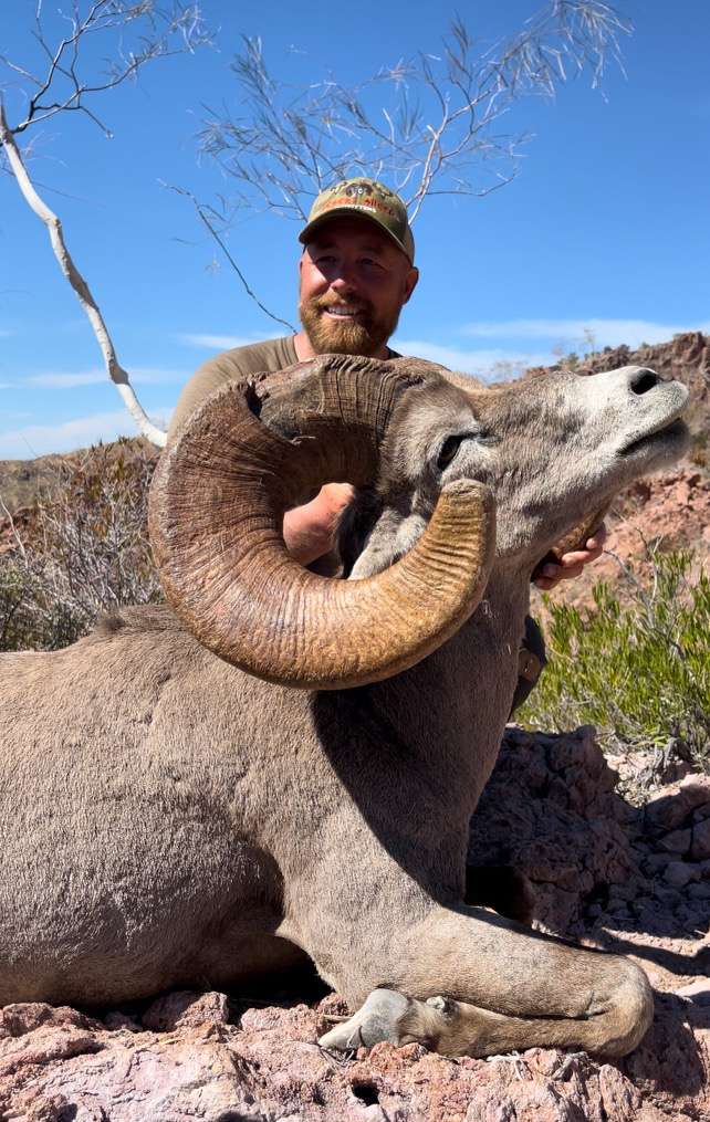 Desert Bighorn Sheep Hunts in Sonora, Mexico | Timber King Outfitting