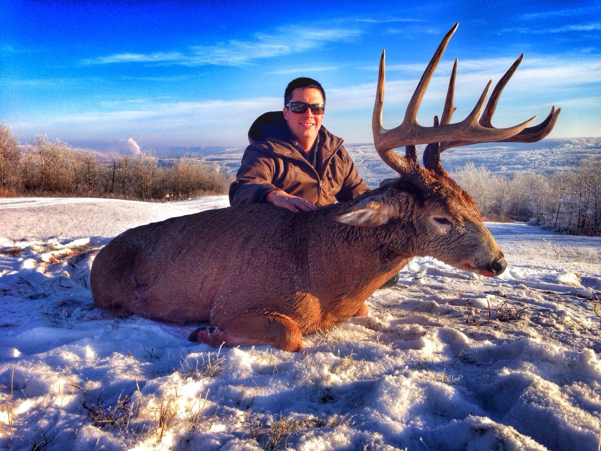 Alberta Whitetail Deer Hunts - Timber King Outfitting