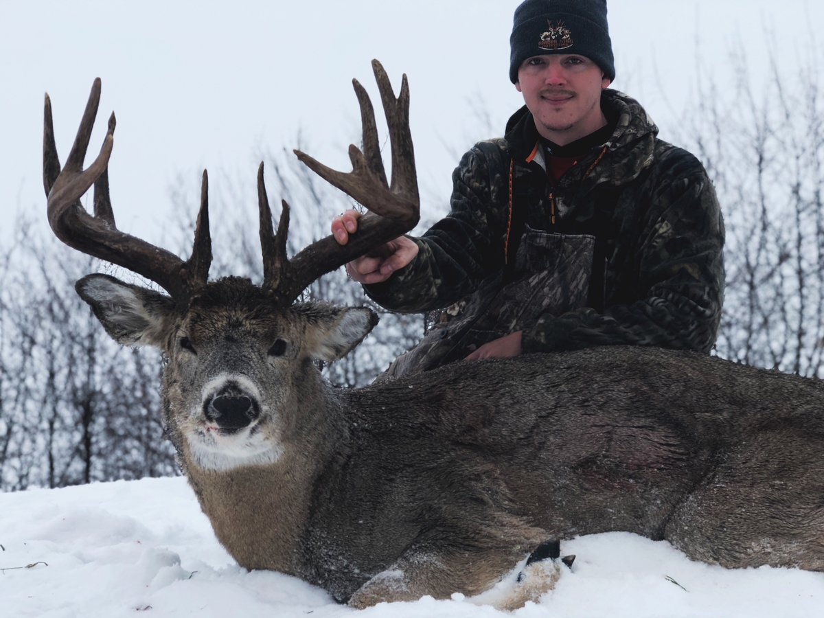Alberta Whitetail Deer Hunts - Timber King Outfitting