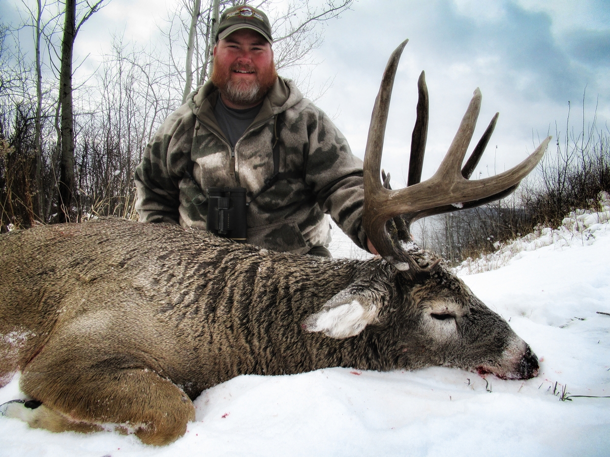 Alberta Whitetail Deer Hunts - Timber King Outfitting