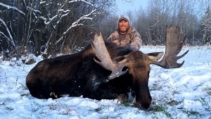 Alberta Moose Hunts | Guided Moose Hunts Canada